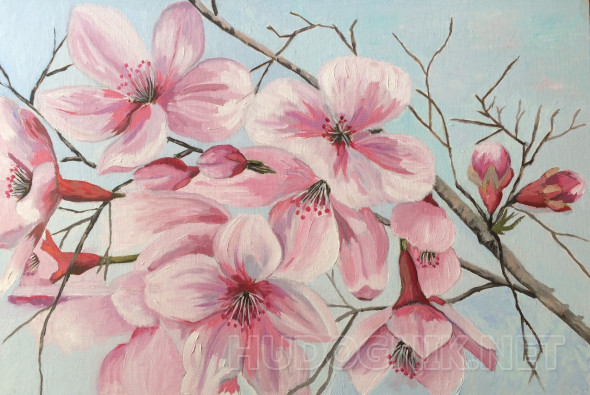 Картина Цветущая вишня. Размеры: 60x40, Год: 2018, Цена: 7000 рублей ...