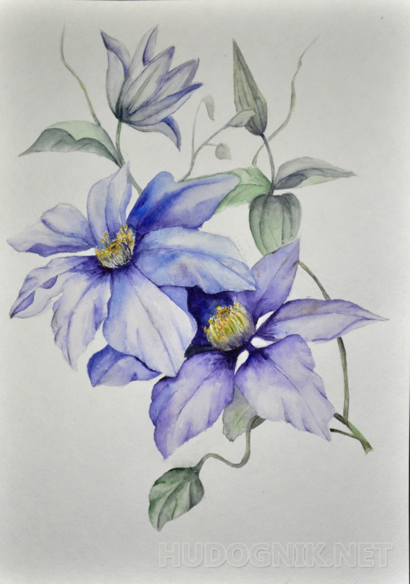 Картина Клематис. Размеры: 30x42, Год: 2019, Цена: 5000 рублей Художник ...