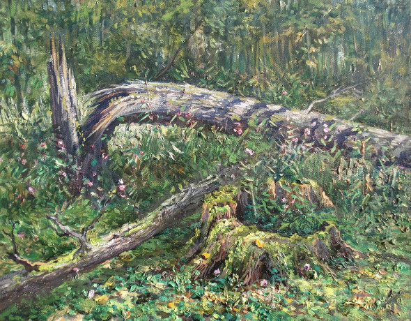 Картина Пень. Размеры: 45x35, Год: 2019, Цена: 25000 рублей Художник ...