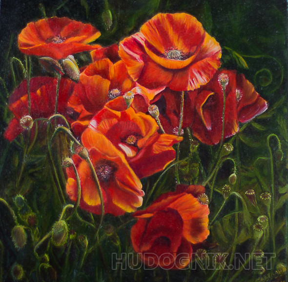 Картина Маки Размеры 50x50 Год 2018 Цена 28000 рублей Художник Пожарная Светлана Ивановна