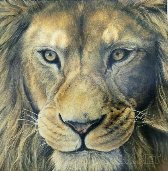 Pintura leon. Tamaño: 50x50, Año: 2022, Precio: 1168 euro Maestro del ...