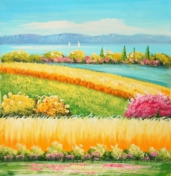 Картина Поле Размеры 50x50 Год 2022 Цена 15000 рублей Художник Минаев Сергей Владимирович